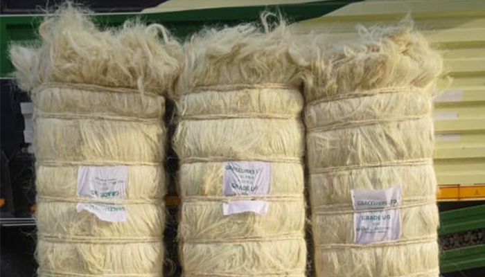 Gracelinks International – Exporters of Premium Tanzanian Sisal Fibre